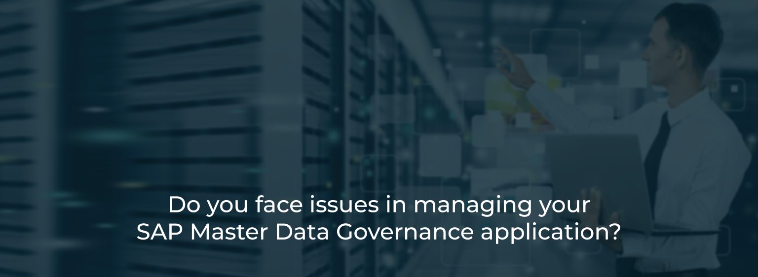 SAP Master Data Governance (MDG) Support Services | LMTEQ